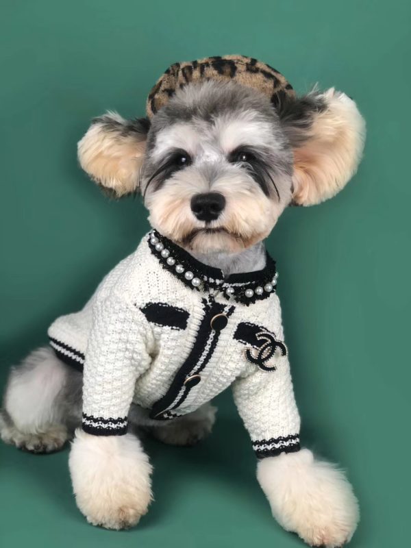 Chanel dog sweater | Chanel Inspired Dog Wool Sweater, Buy Best w020 ...