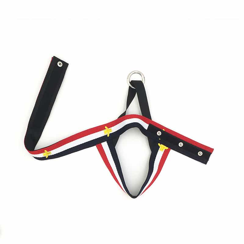 Gucci bee harness and leash set | Gucci No-Pull Dog Harness ,for Small ...