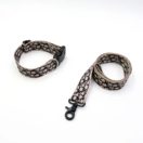 Dior dog collar | Dior dog leader and leash set New 2024