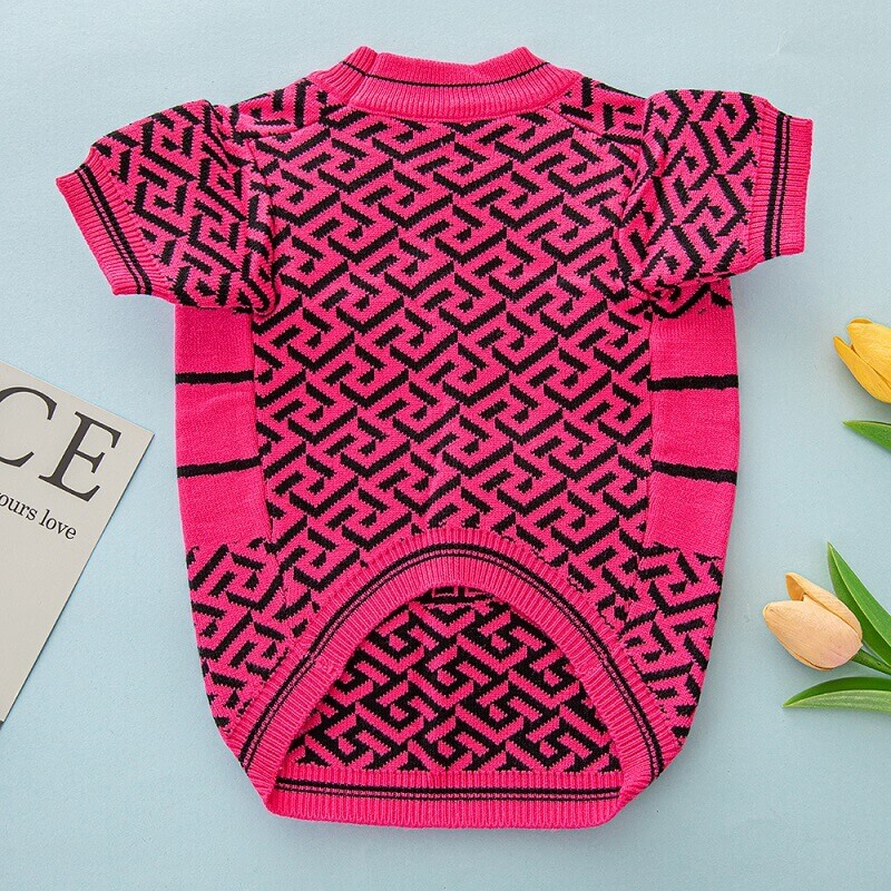 Versace dog clothing for winter | best new designer dog sweater